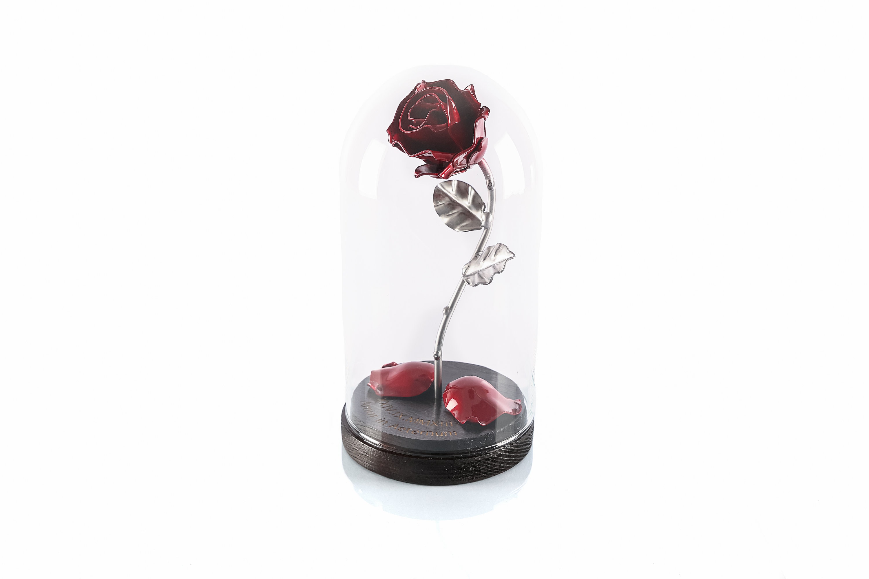 Beauty and the Beast Rose With Fallen Red Petals in Glass Dome - Etsy UK
