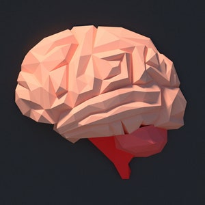 Papercraft 3d Brain Template, Paper Brain, Human Brain Halloween Decor ...