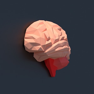 Papercraft 3d Brain Template, Paper Brain, Human Brain Halloween Decor ...