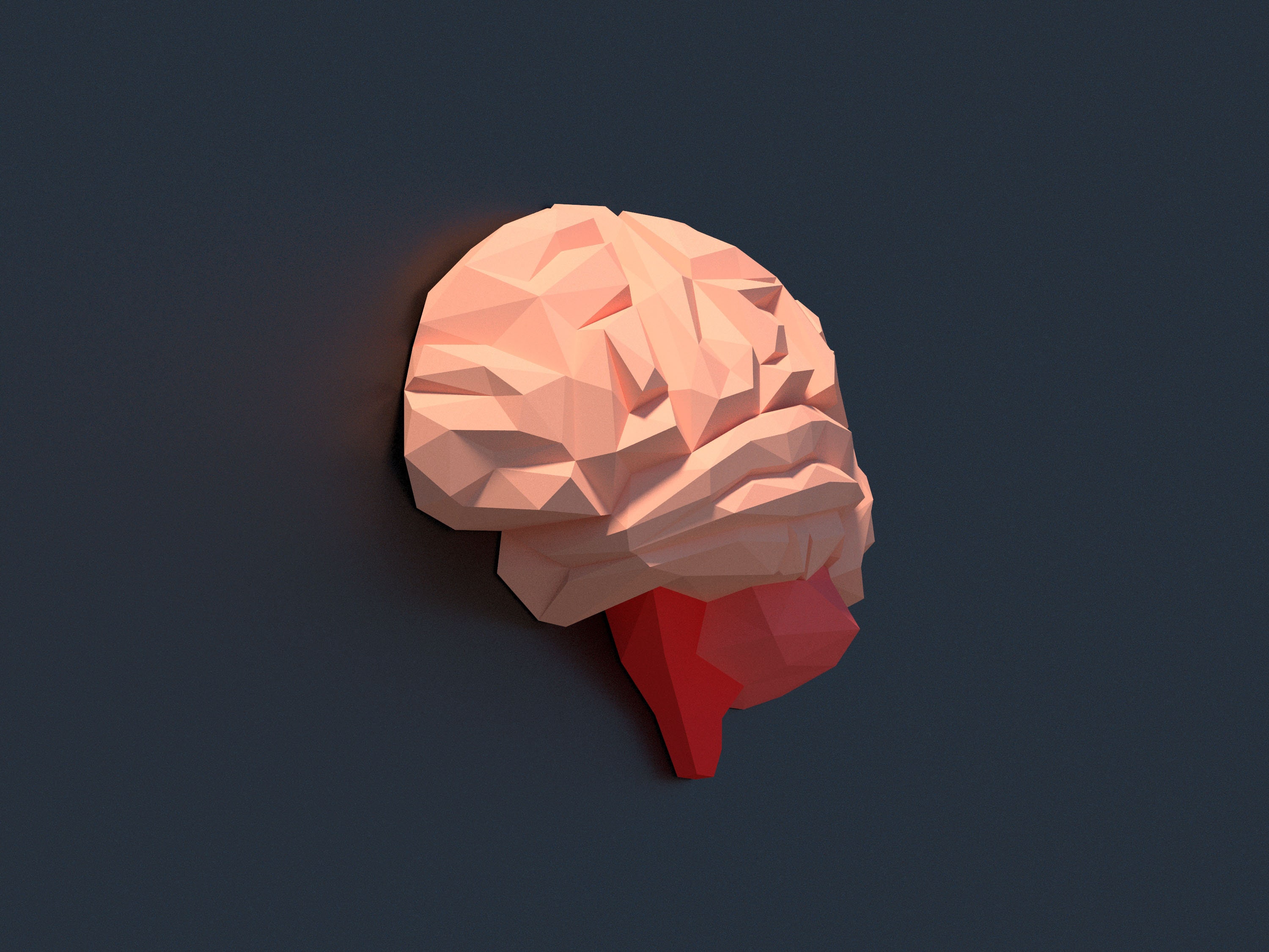 Papercraft DIY Brain Papercraft 3d Brain Dxf Human Brain - Etsy UK