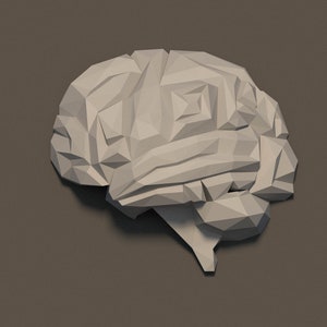 Papercraft 3d Brain Template, Paper Brain, Human Brain Halloween Decor ...