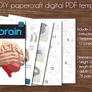 Papercraft 3d Brain Template, Paper Brain, Human Brain Halloween Decor ...