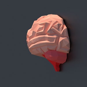 Papercraft 3d Brain Template, Paper Brain, Human Brain Halloween Decor ...