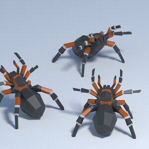 3d Papercraft Spider Tarantula Digital PDF Template, Papercraft ...