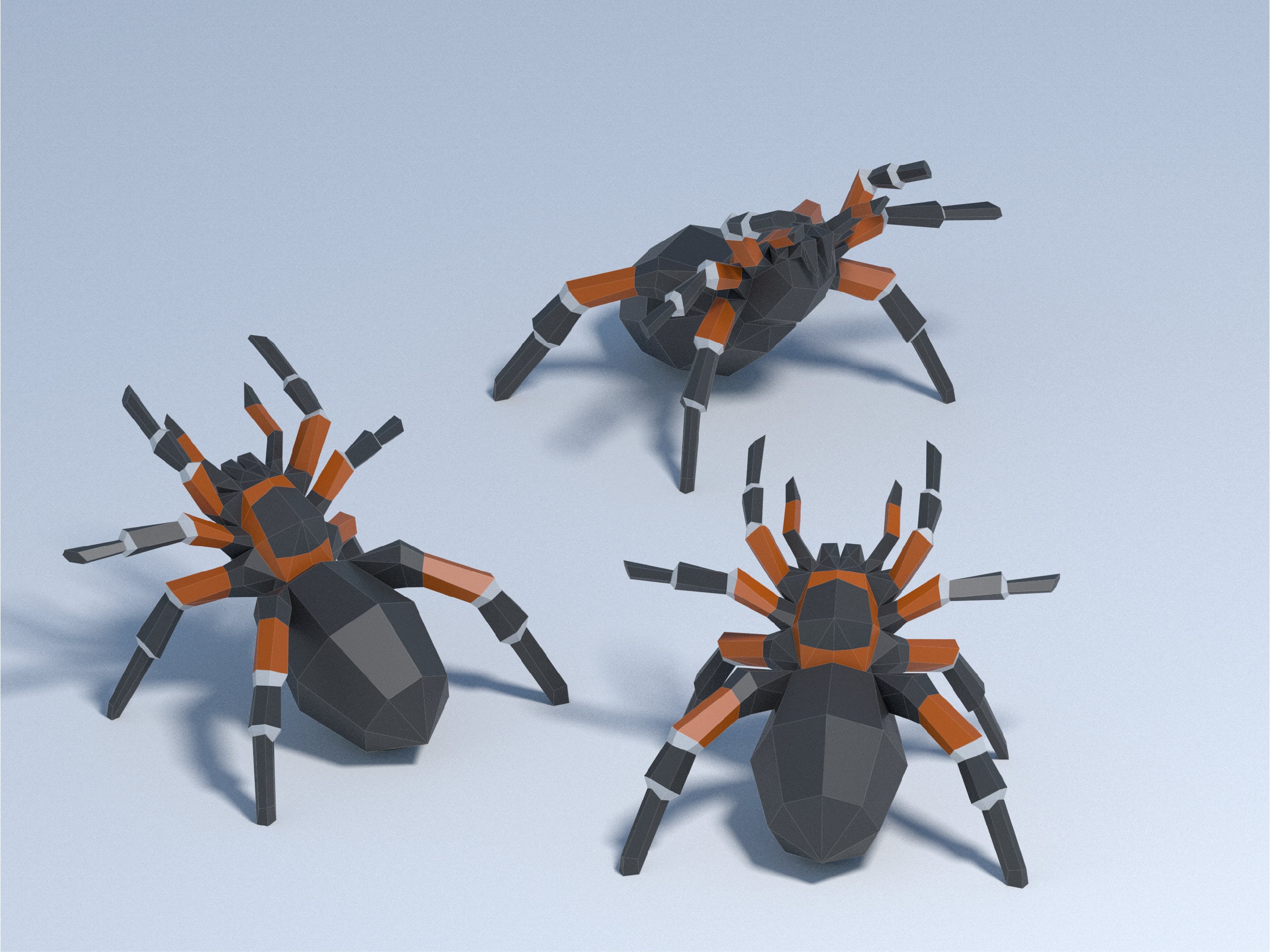 3d Papercraft Spider Tarantula Digital PDF Template, Papercraft ...