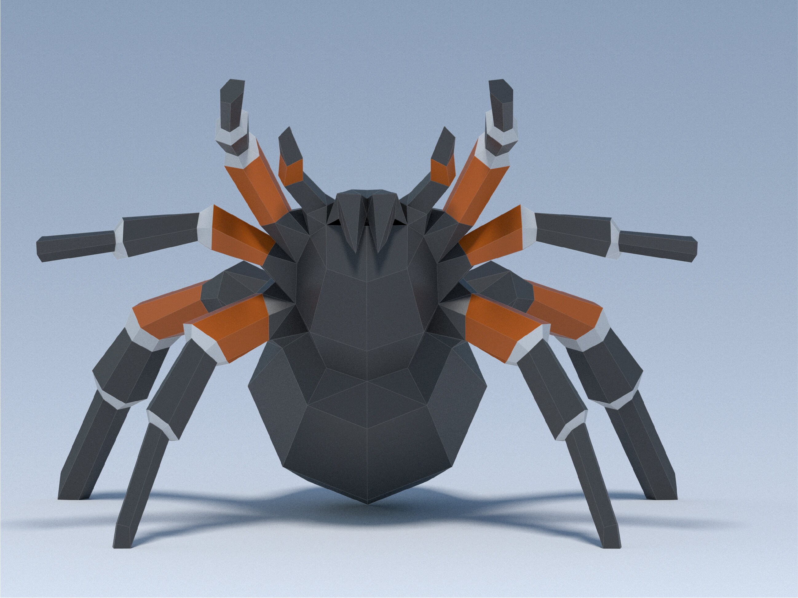 3d Papercraft Spider Tarantula Digital PDF Template, Papercraft ...