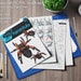 3d Papercraft Spider Tarantula Digital PDF Template, Papercraft ...