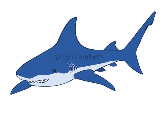 Shark Clip Art