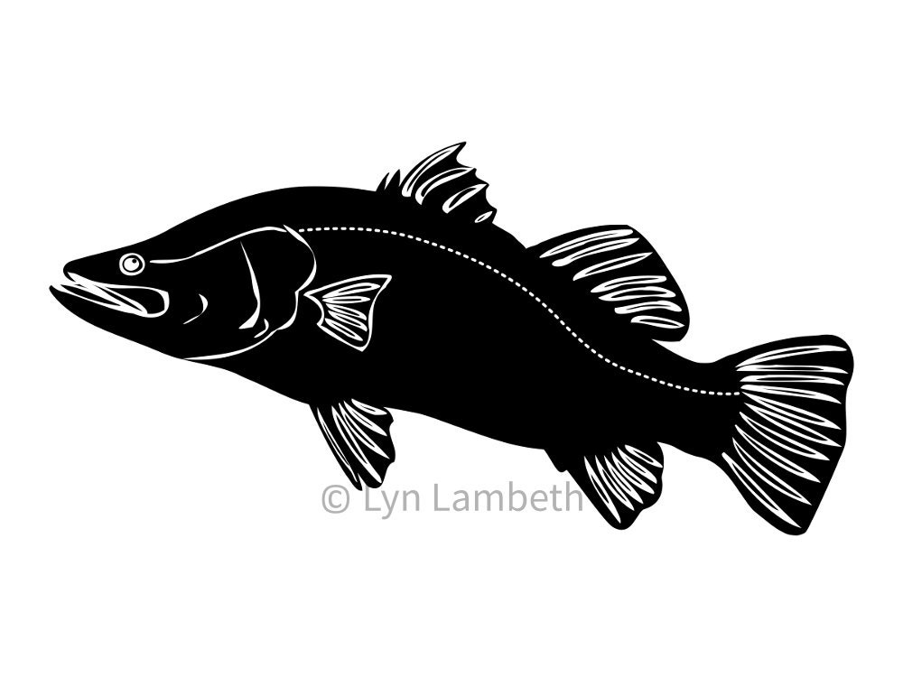 Barramundi Svg, Instant Download, Hand Drawn, Digital Black and White ...