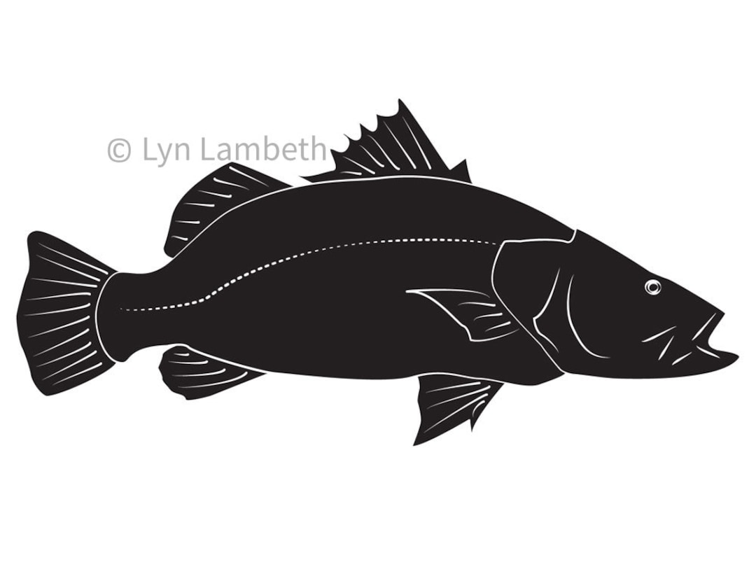 Barramundi Clip Art, Instant Download Digital File, Hand Drawn Black ...