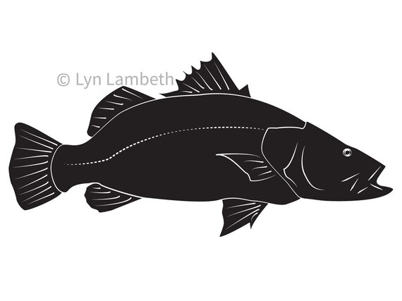 Barramundi Logo