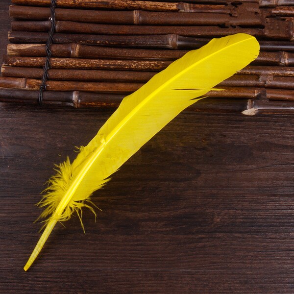 Large Feathers - Etsy