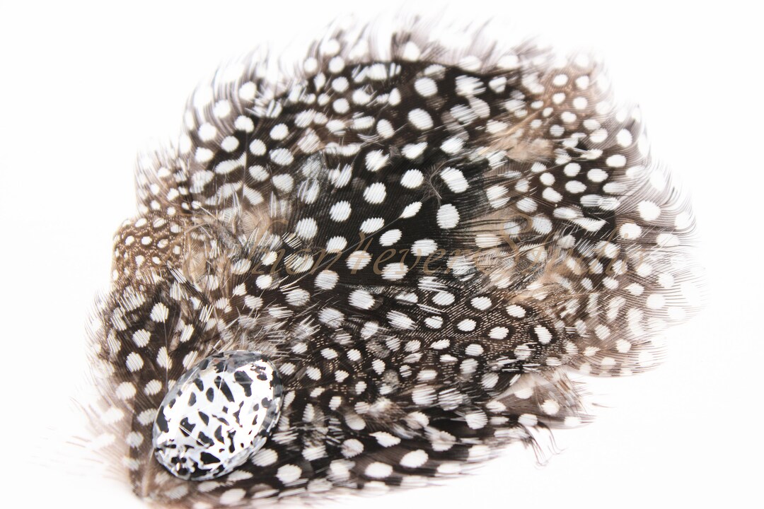 1ps 3x4 Inches Feather Pad, Rhinestone Feathers Pad, Feathers, Crafts ...