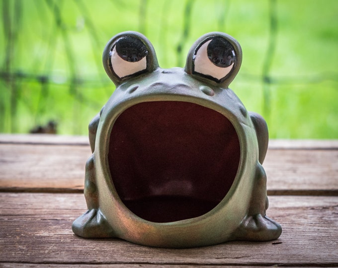 Goofy Frog Hidey Hole - Etsy