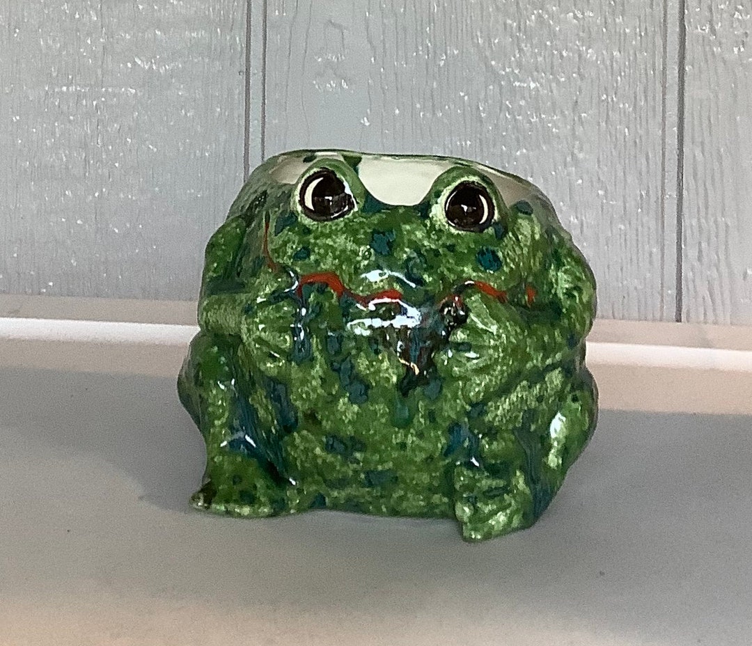 Froggy Planter - Etsy