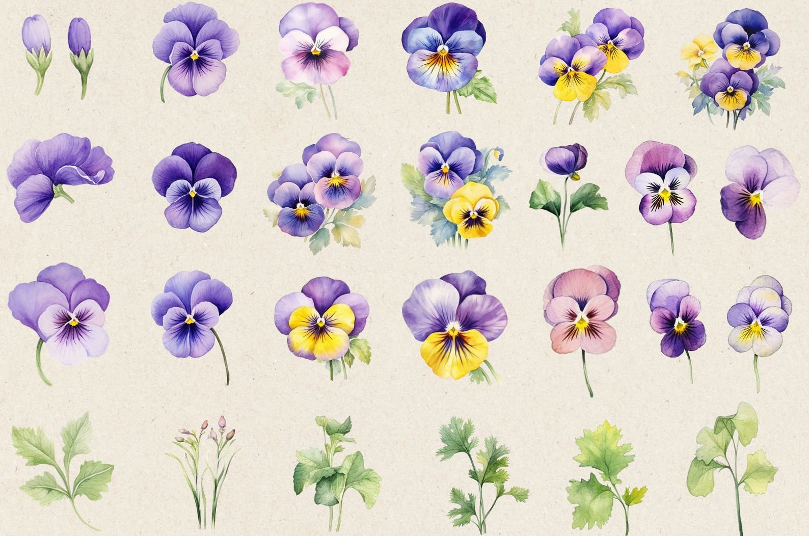 Watercolor Pansy Flower Clip Art Set - 25 Transparent PNG Files ...