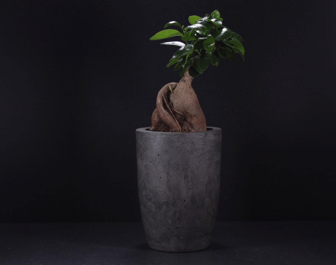 Deep Charcoal Beton Pot Modern Concrete Pots Cement Vase Industrial ...