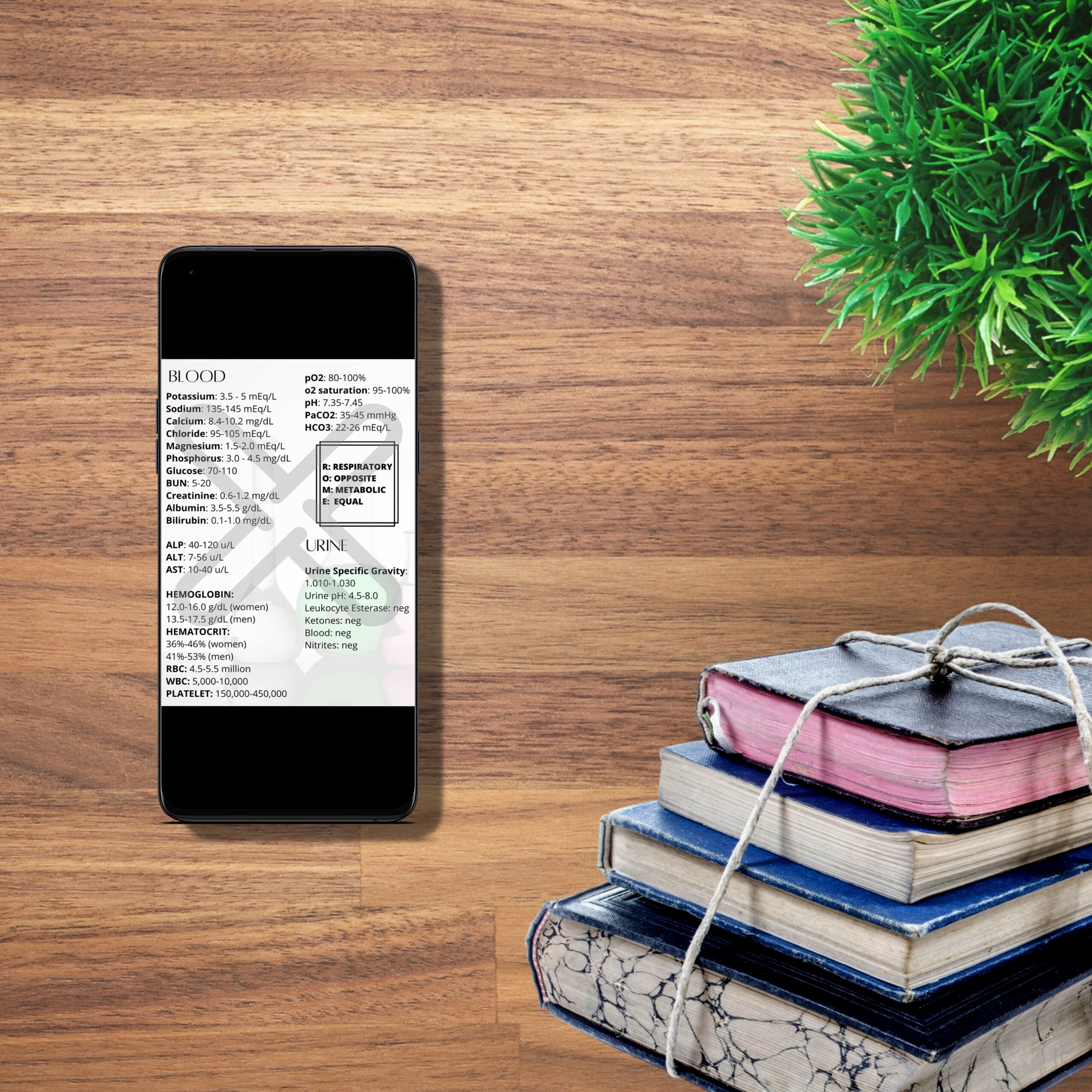 Condensed Nursing Lab Value Cheat Sheet, Nursing School Study Guide ...