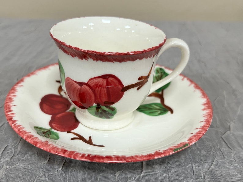 Vintage Blue Ridge Southern Potteries Crabapple Pattern - Etsy