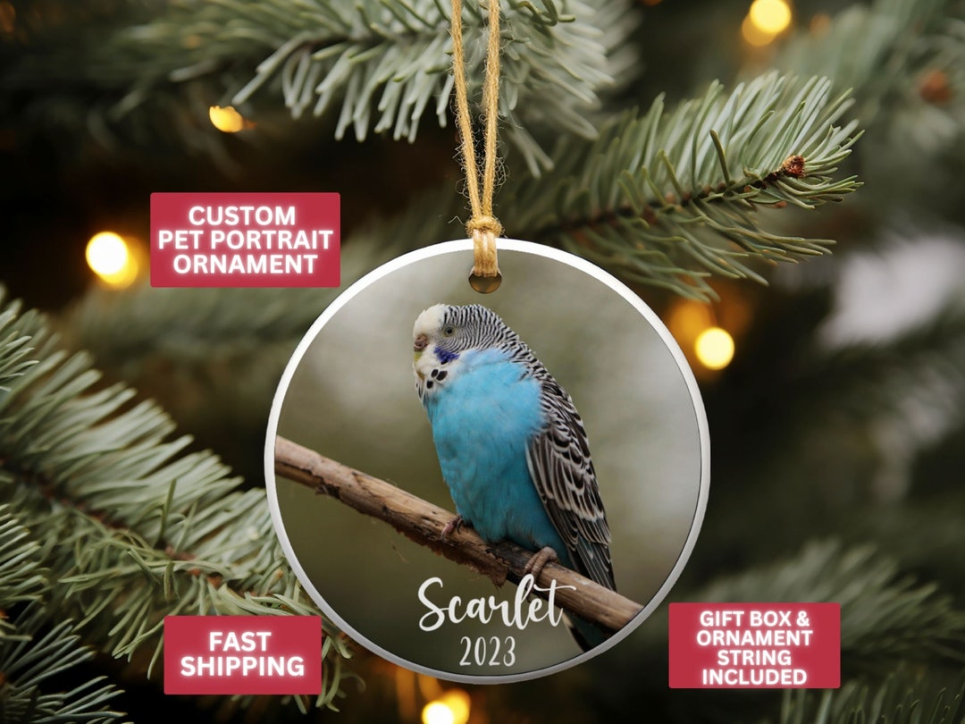 Customizable Pet Parakeet Ornament, Pet Parakeet Memorial Ornament ...