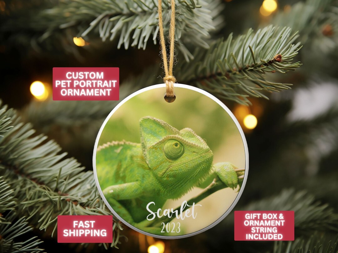Customizable Pet Chameleon Ornament, Green Chameleon Memorial Ornament ...