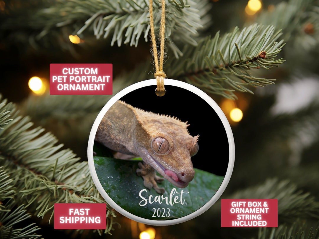 Customizable Crested Gecko Lizard Photo Ornament, Crested Gecko ...