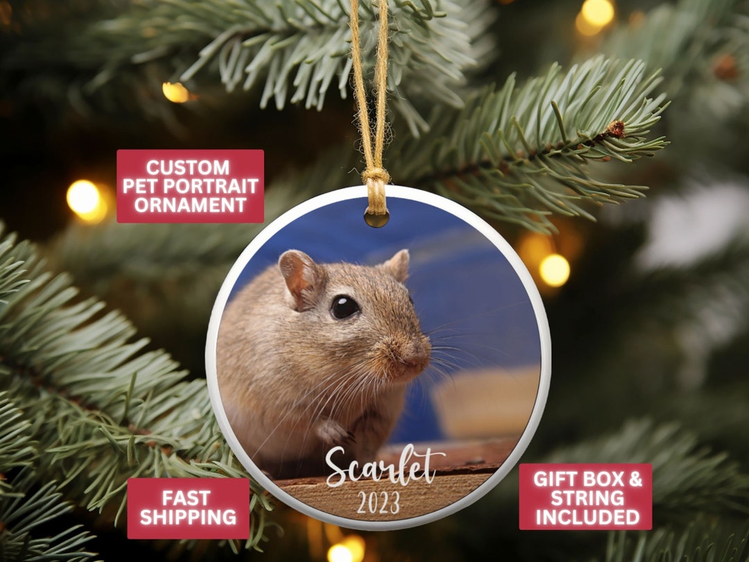 Customizable Gerbil Ornament, Gerbil Memorial Ornament, Personalized ...