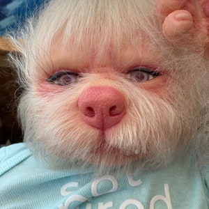 Lucian Kane Hybrid Werepup, Simon Laurens, Werewolf Puppy, Fantasy ...