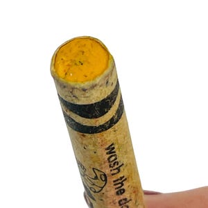 Wash the Dog Crayola Color N Smell Crayon Vintage Collectible ...
