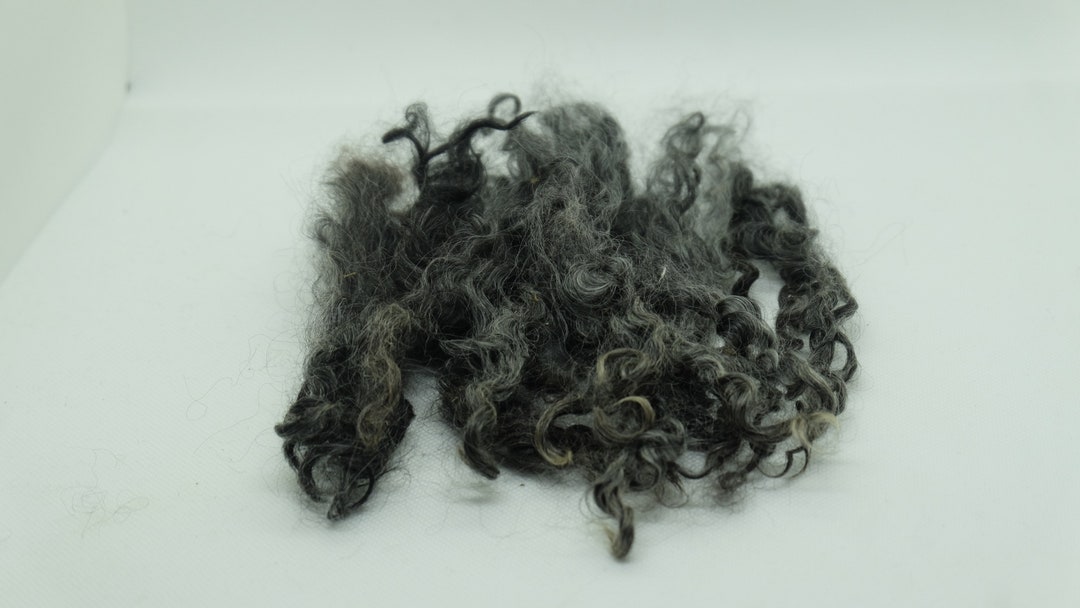 40 Grams of Locks From the Grey-black Wensleydale Sheep, Doll Hair ...