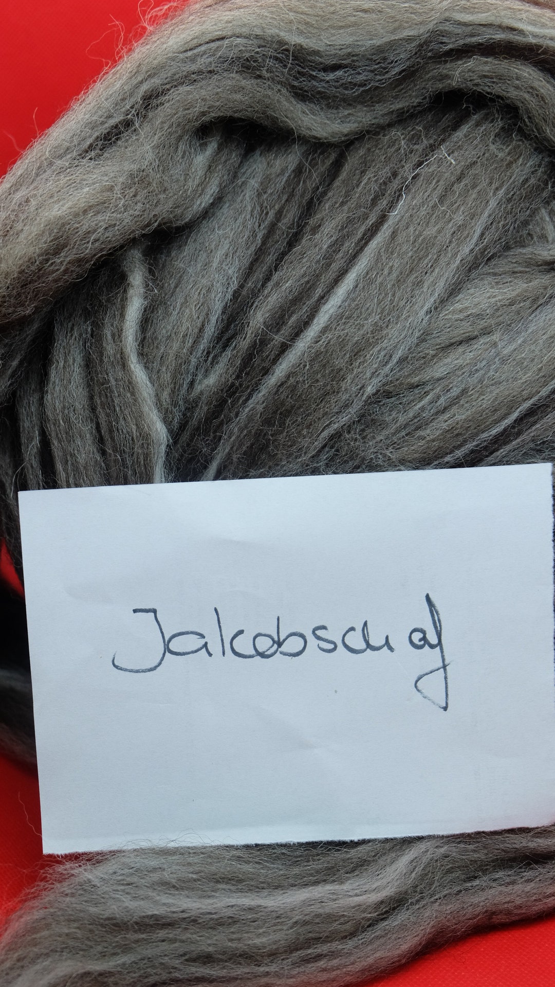 50 Grams of Grey-white Jacob Sheep Wool in Combed Yarn for Spinning ...
