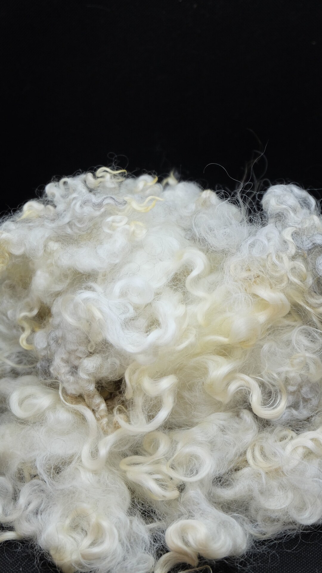 30 Grams of Lamb Curls From the Wensleydale-gotland Fur Sheep Mix, Doll ...