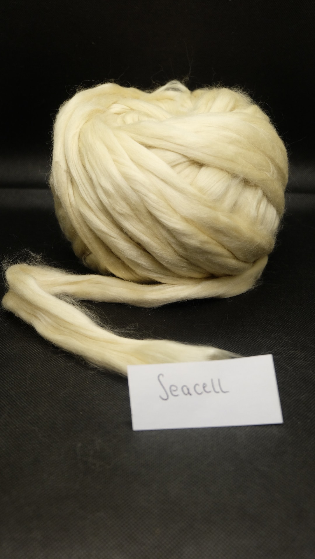 50 Grams of Seacell, Plant Fibers From Algae, for Spinning, Refining ...