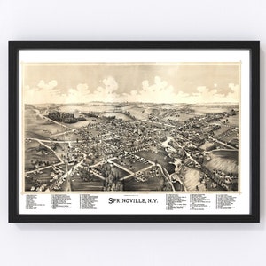 Springville Map 1892 Old Map of Springville New York Art Vintage Print ...