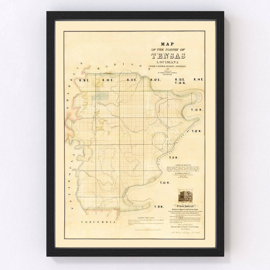 Tensas Parish Louisiana Map 1860 Old Map of Tensas Parish - Etsy