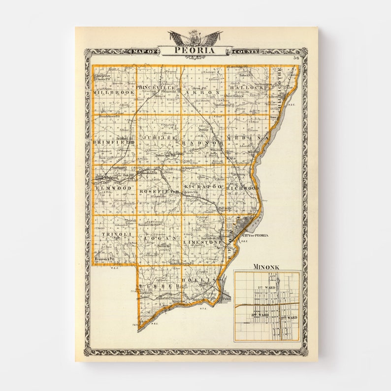 Peoria County IL Map 1876 Old Map of Peoria Illinois Art - Etsy