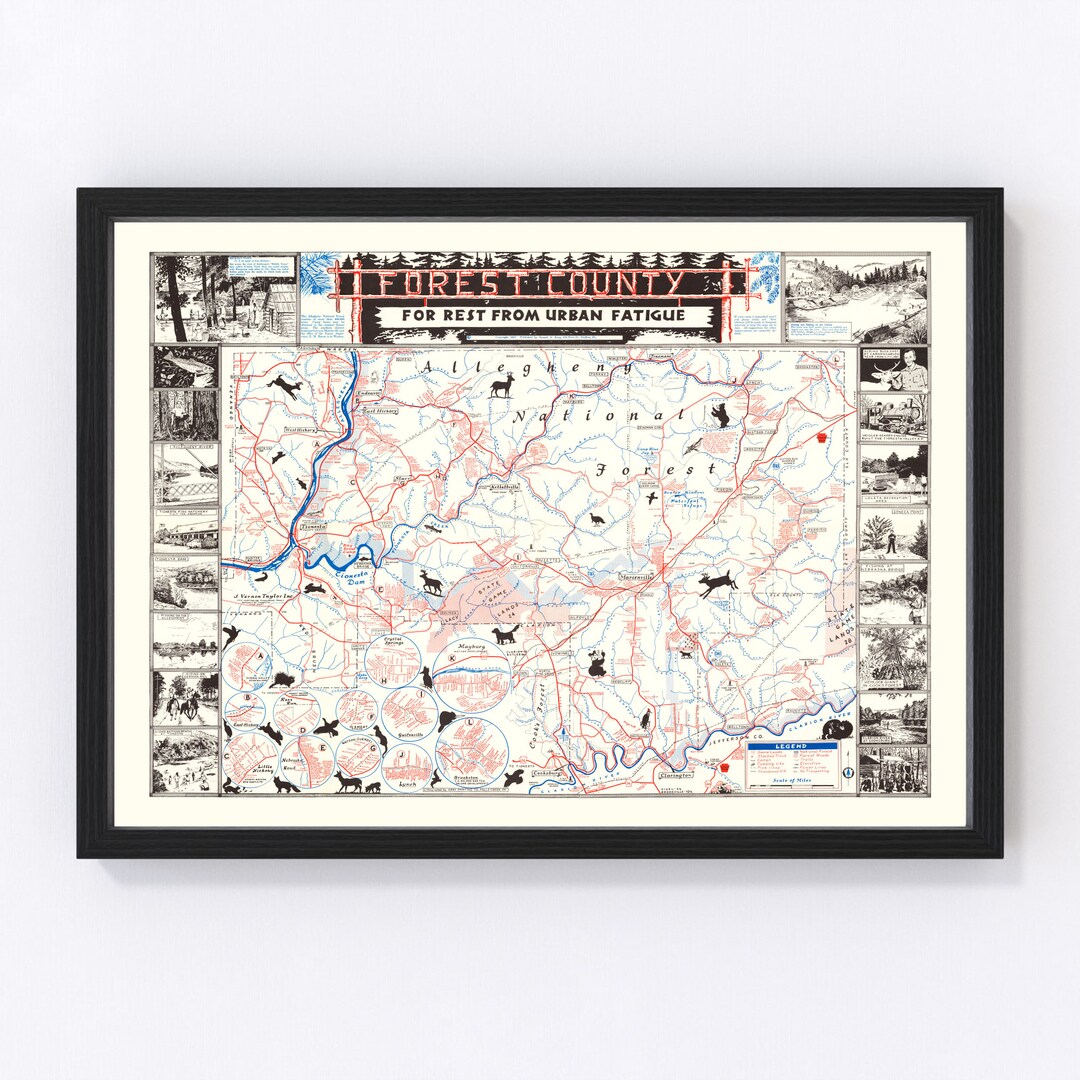 Forest County Map 1957, Vintage Forest County Map, Old Forest County ...