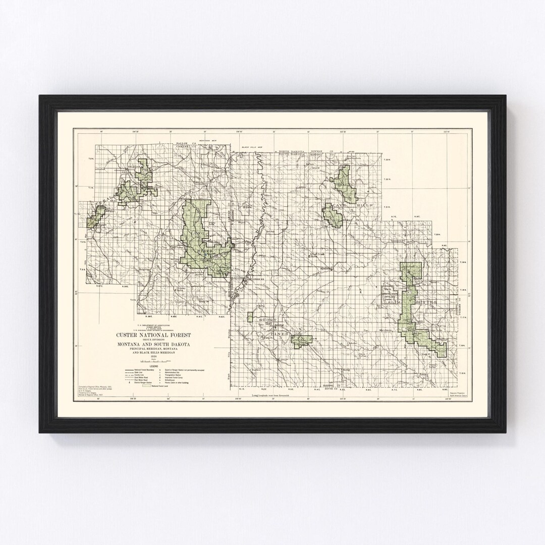 Custer National Forest Map 1938, Vintage Custer National Forest Map ...