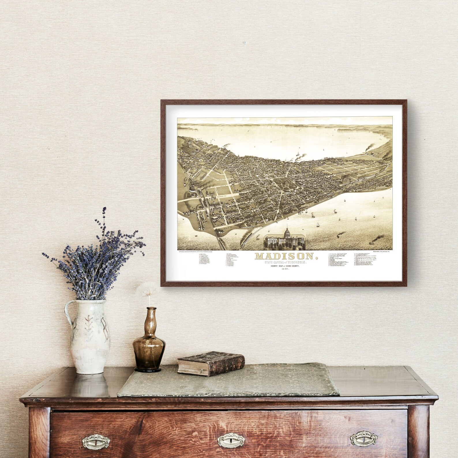 Madison Map 1885 Old Map of Madison Wisconsin Art Vintage - Etsy