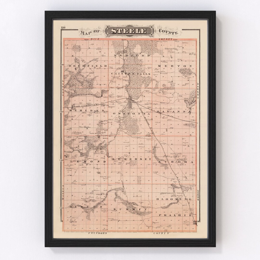 Steele County Map 1874, Vintage Steele County Map, Old Steele County ...
