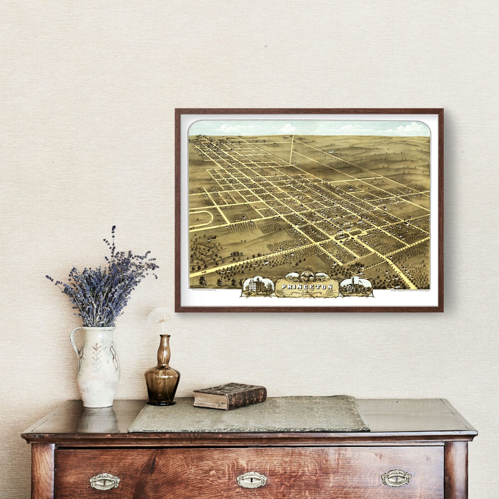 Princeton Map 1870 Old Map of Princeton Illinois Art Vintage - Etsy