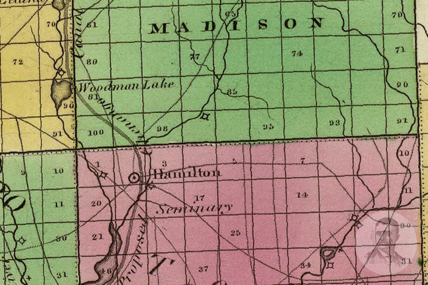 Vintage Madison County NY Map 1829 Old New York Map | Etsy