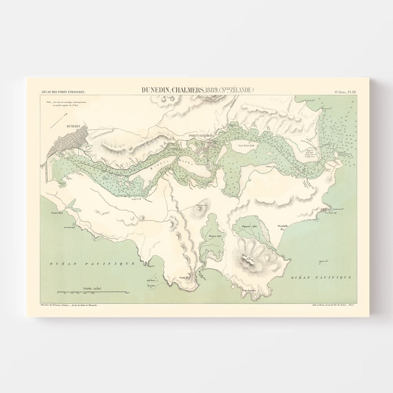 Dunedin Map 1889, Vintage Dunedin Map, Old Dunedin Art, Wall Art Gift ...