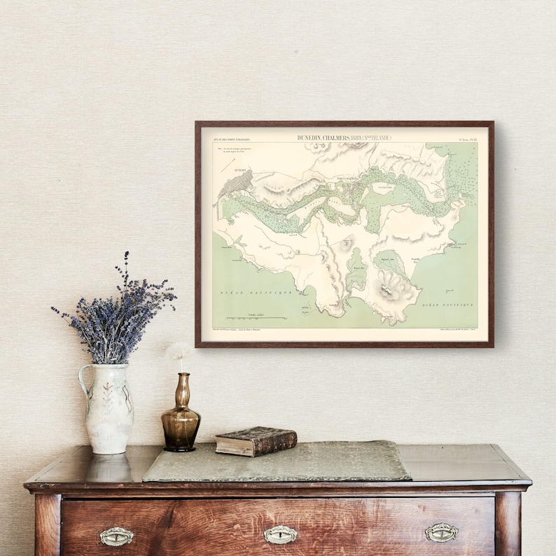 Dunedin Map 1889, Vintage Dunedin Map, Old Dunedin Art, Wall Art Gift ...