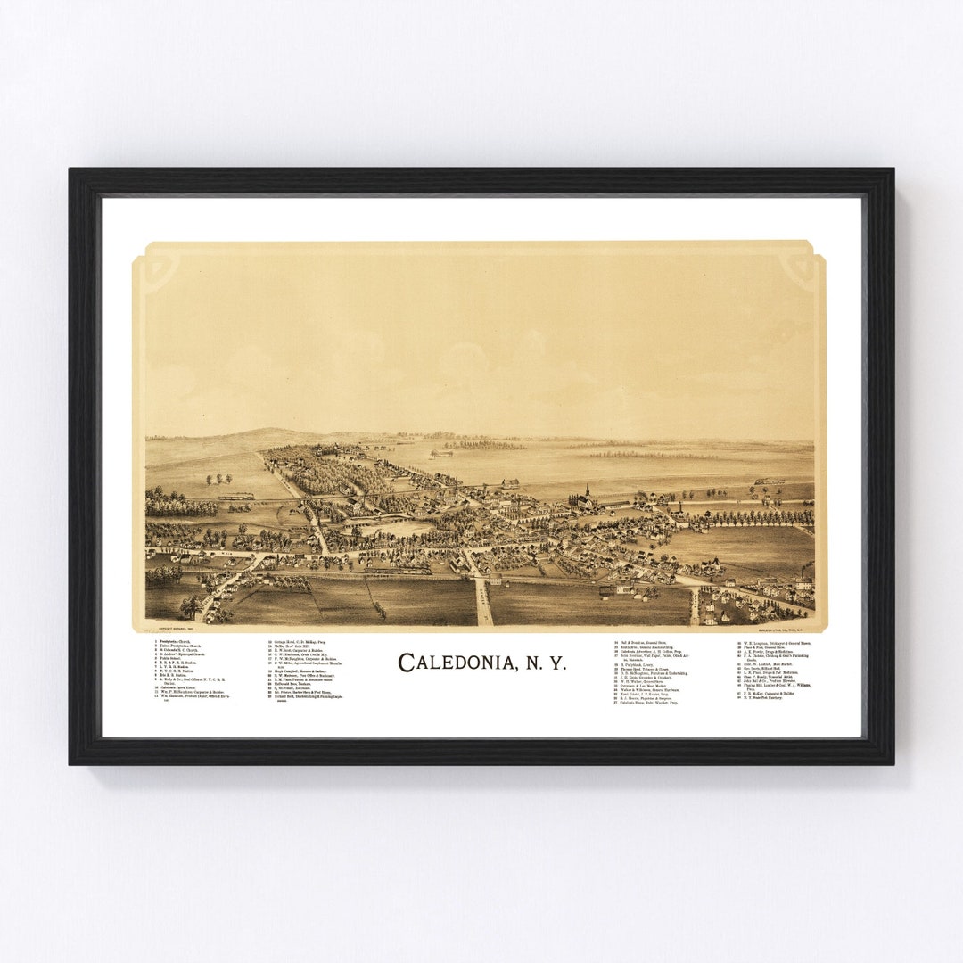 Caledonia Map 1892, Vintage Caledonia Map, Old Caledonia New York Art ...