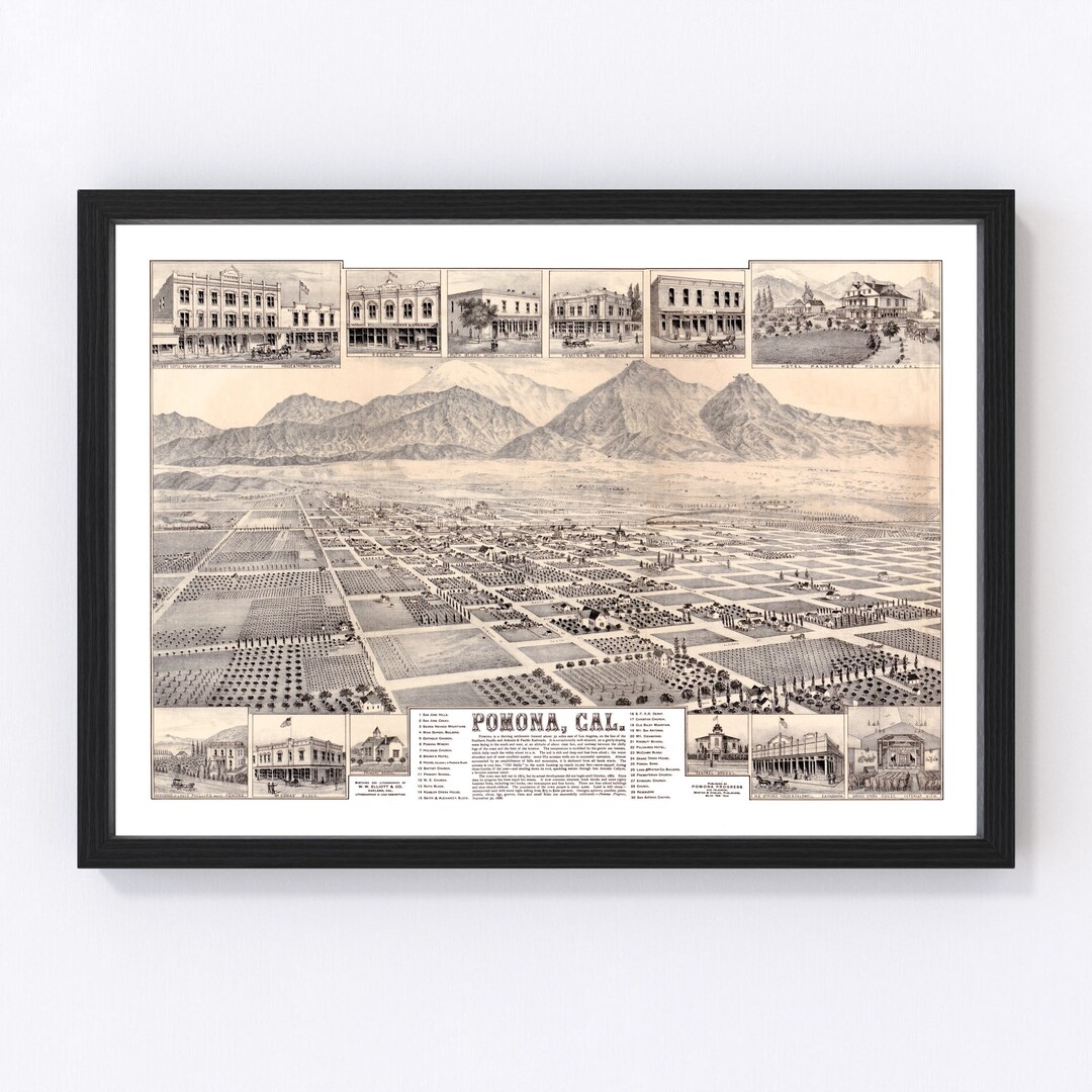 Pomona Map 1886, Vintage Pomona Map, Old Pomona California Art, Wall ...