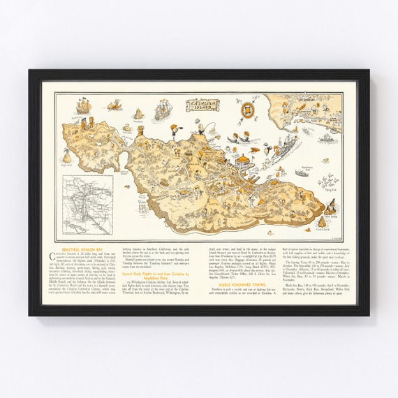 Historia De La Isla Catalina Descubre La Belleza De La Isla Catalina