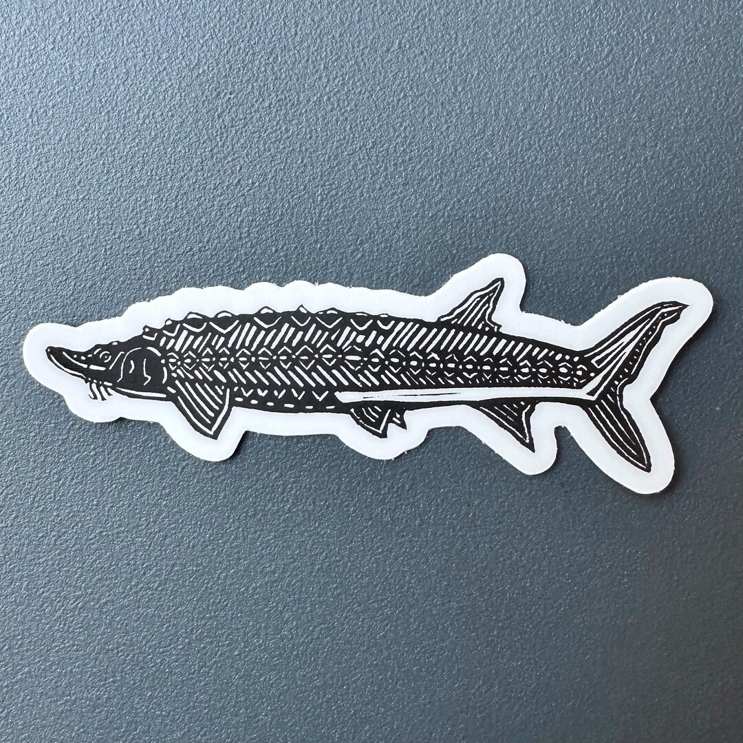 Atlantic Sturgeon Sticker | Vinyl Decal | Water-proof Sticker | Linocut ...