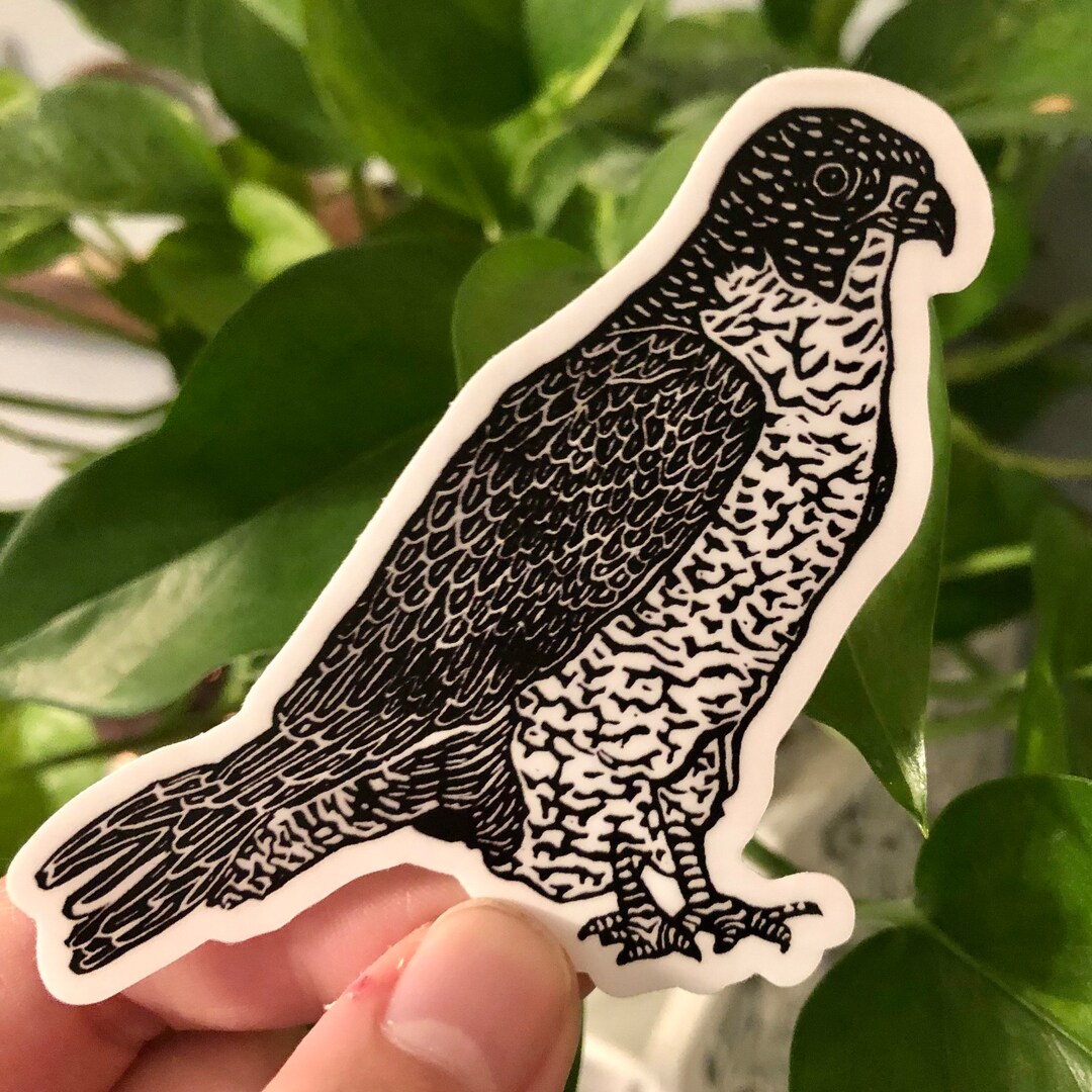 Peregrine Falcon Sticker Vinyl Decal Water-proof Sticker 3 X 2.78 - Etsy