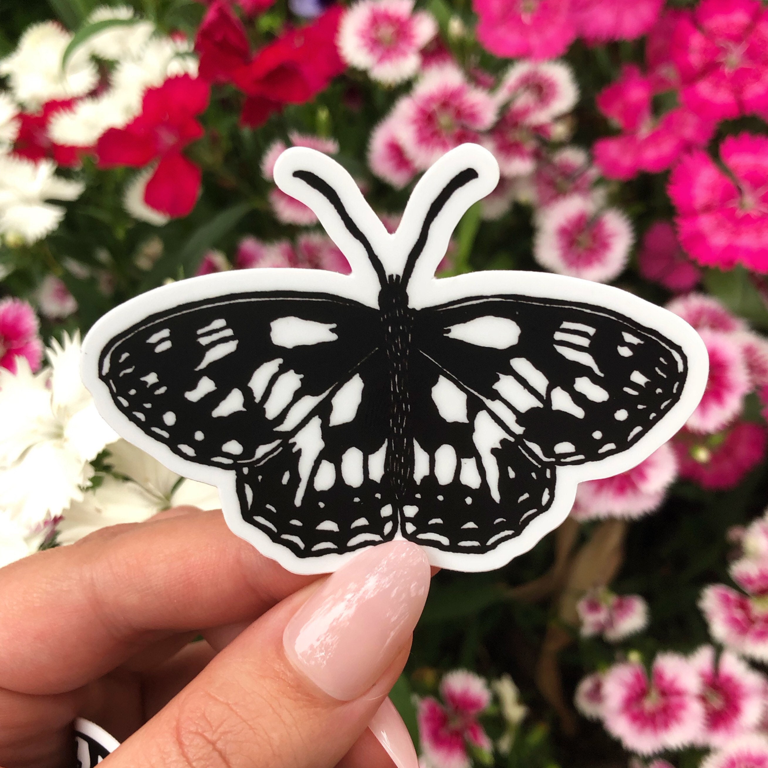 Marbled-white Butterfly Sticker | Vinyl Decal | Water-proof Sticker | 3 ...